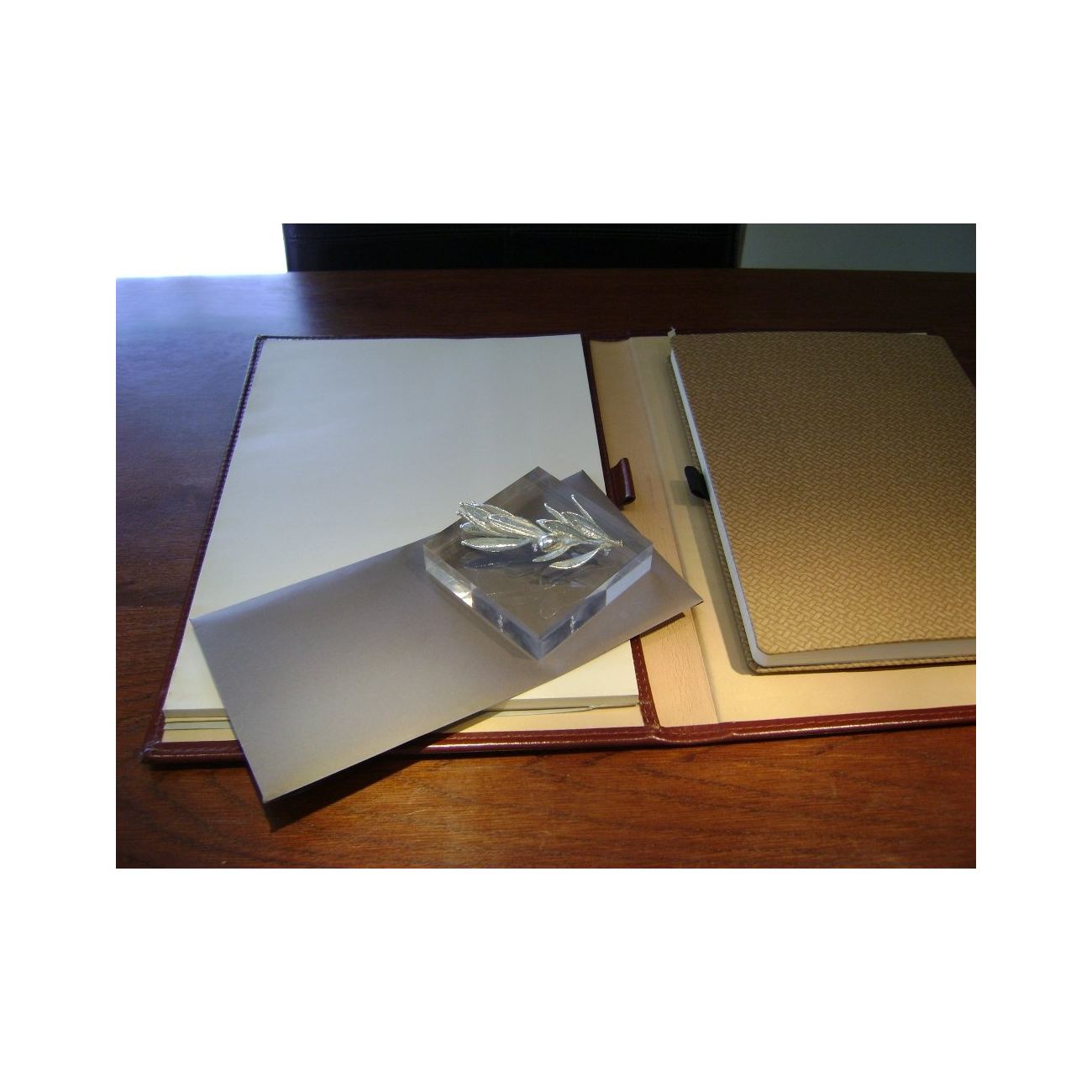 Olive Branch Paperweight or Presse Papier - Real Natural Plant - 925 ...